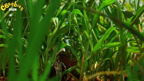 Wild Life Forest GIF by CBeebies HQ - Find & Share on GIPHY