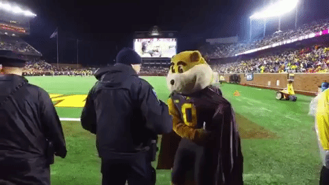 Minnesota Gophers Magic GIF by Goldy the Gopher - University of ...