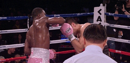 Boxing GIF - Find & Share on GIPHY