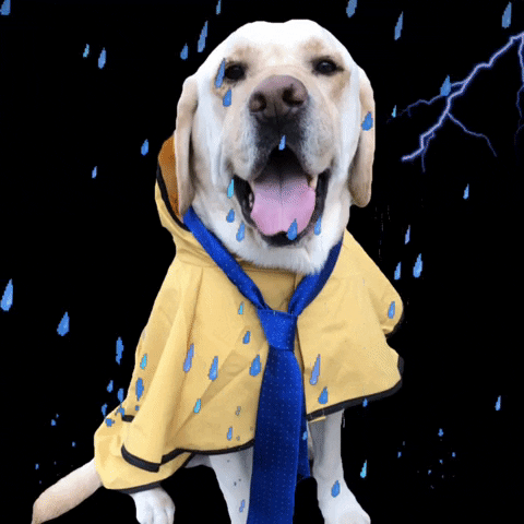 Rain Hulk GIF by 3L Innovations - Find & Share on GIPHY