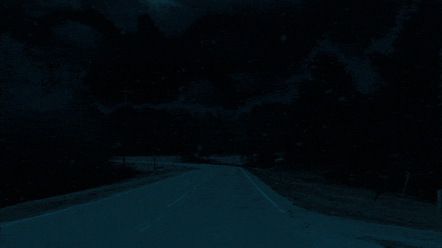 Stranger Things Monster GIF by Red Giant - Find & Share on GIPHY