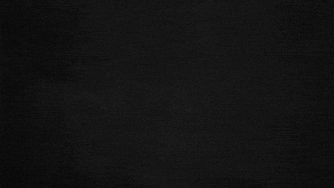 GIU GIF - Find & Share on GIPHY