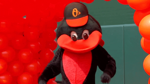 Baltimore Orioles GIF - Find & Share on GIPHY
