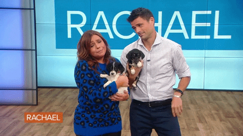 GIF by Rachael Ray Show - Find & Share on GIPHY