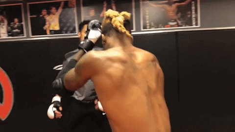 Albuquerque Fighting GIF by Jackson Wink MMA Academy - Find & Share on ...