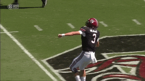 College Football Gamecocks GIF by SEC Network - Find & Share on GIPHY