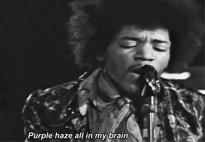 Purple Haze GIFs - Find & Share on GIPHY