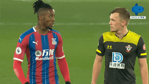 Premier League Southampton GIF by MolaTV - Find & Share on GIPHY