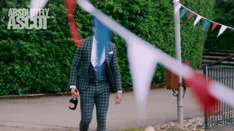 GIF by Absolutely Ascot - Find & Share on GIPHY