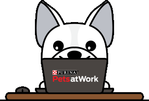 Perro Sticker by Nestlé Purina Argentina for iOS & Android | GIPHY