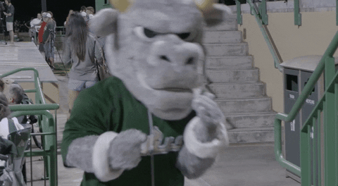 USF Athletics GIFs - Find & Share on GIPHY