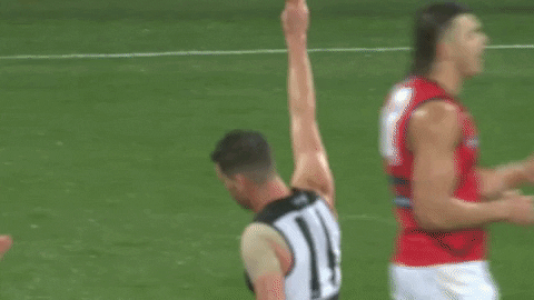 Australian Football League GIF by Port Adelaide FC - Find & Share on GIPHY