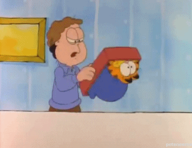 Silly GIF - Find & Share on GIPHY