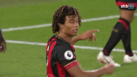 Football Soccer GIF by AFC Bournemouth - Find & Share on GIPHY