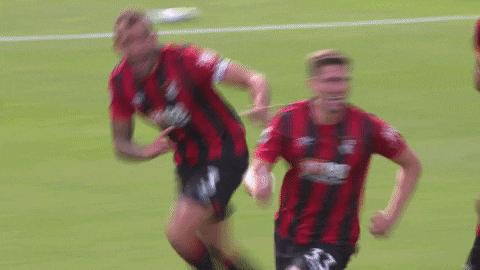 Football Soccer GIF by AFC Bournemouth - Find & Share on GIPHY