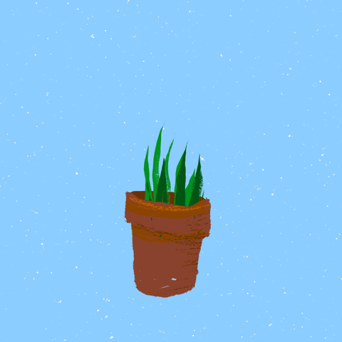 Plant Life Plants GIF by adobetrisha - Find & Share on GIPHY
