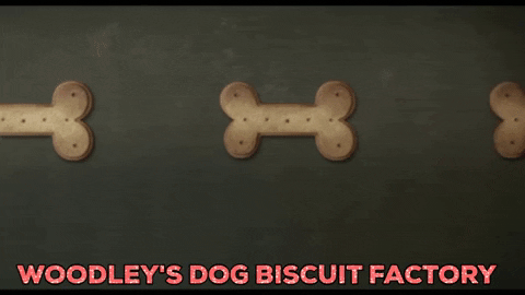 Netflix Woodley GIF by The Animal Crackers Movie - Find & Share on GIPHY