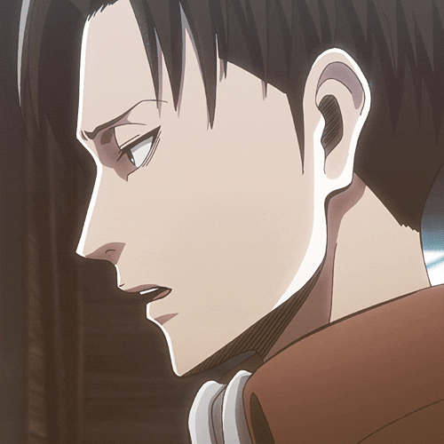 Attack On Titan Levi GIF - Find & Share on GIPHY
