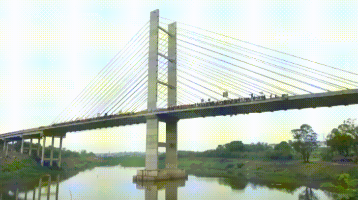 Rope Bridge GIFs - Find & Share on GIPHY