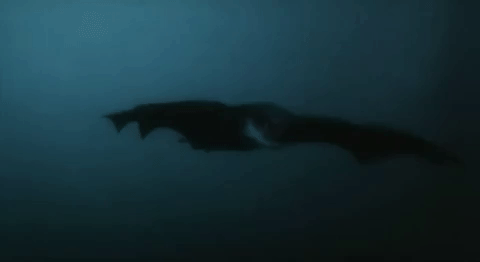 Vampyr GIFs - Get the best GIF on GIPHY