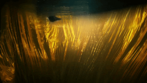 Riles Against The Clock GIF by Rilés - Find & Share on GIPHY