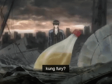 Fury Kung GIF - Find & Share on GIPHY