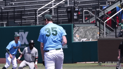 Baseball Wave GIF by GreenWave - Find & Share on GIPHY
