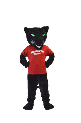 Celebrate Hanover Panthers GIF by Hanover College - Find & Share on GIPHY