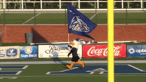 Football Eagles GIF by Georgia Southern Athletics - Find & Share on GIPHY