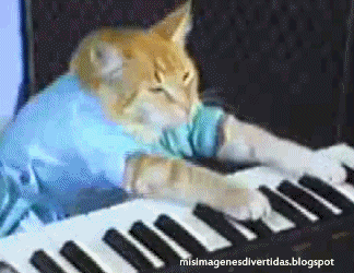 El Gato Dancing Gif