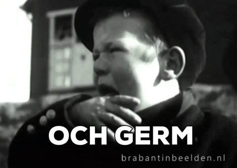 Aww Reaction GIF by Brabant in Beelden - Find & Share on GIPHY