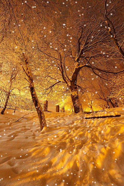 Winter Photos GIF - Find & Share on GIPHY