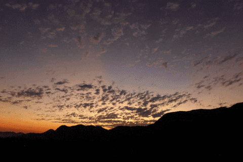 Sunset GIF - Find & Share on GIPHY