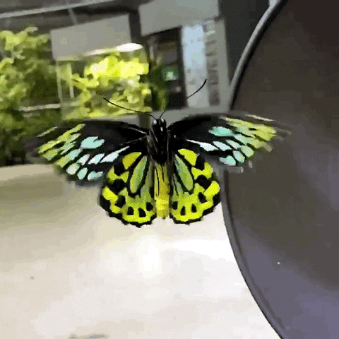 Happy Slow Motion GIF by California Academy of Sciences - Find & Share ...