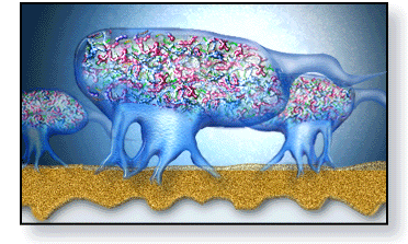 Bacteria GIF - Find & Share on GIPHY