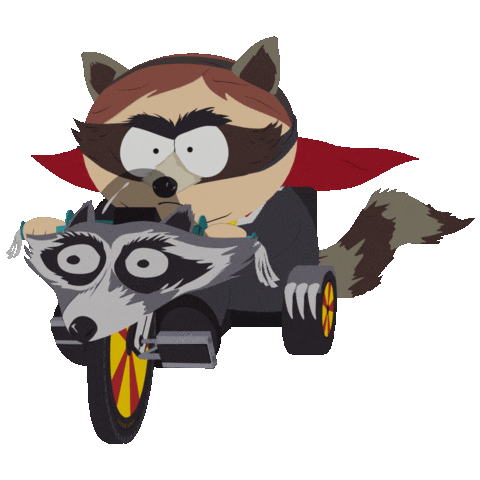 The Coon Superhero Sticker by South Park for iOS & Android | GIPHY