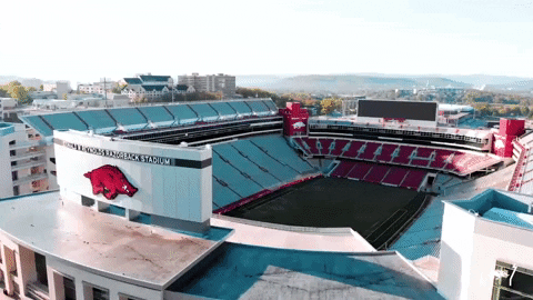 College Football GIF by Arkansas Razorbacks - Find & Share on GIPHY