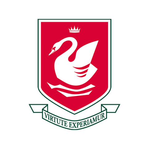 Wbhs Sticker by Westlake Boys High School for iOS & Android | GIPHY