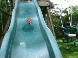 Slide GIF - Find & Share on GIPHY