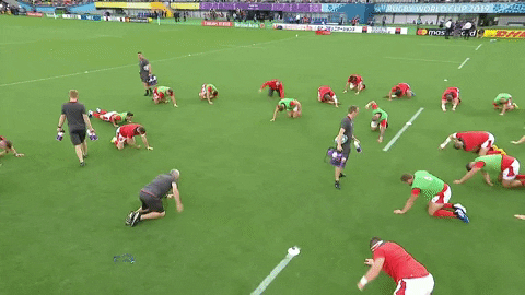 World Rugby Sport GIF by Rugby World Cup - Find & Share on GIPHY