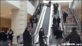 Escalator GIF - Find & Share on GIPHY
