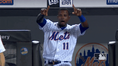 Celebrate Ny Mets GIF by New York Mets - Find & Share on GIPHY