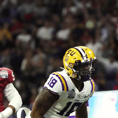 Ncaa Football GIF by LSU Tigers - Find & Share on GIPHY