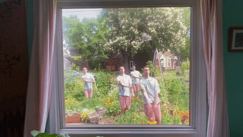 Window GIF by Still Woozy - Find & Share on GIPHY