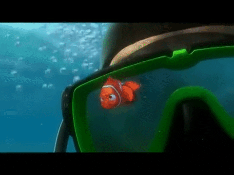 Finding Nemo GIFs - Find & Share on GIPHY