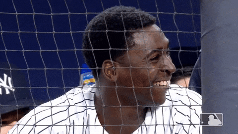 Happy Major League Baseball GIF by New York Yankees - Find & Share on GIPHY