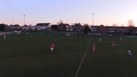 Football Celebration GIF by Blackburn Rovers - Find & Share on GIPHY