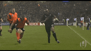 New Zealand All Blacks Sport GIF by Rugby World Cup - Find & Share on GIPHY