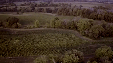 Farm Life Earth GIF by Cornbread Hemp - Find & Share on GIPHY