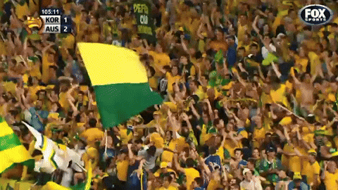 Football Australia GIF - Find & Share on GIPHY